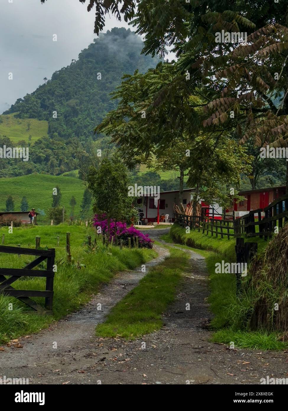 Beautiful countryside above the town of Manizales on route to the Andes ...