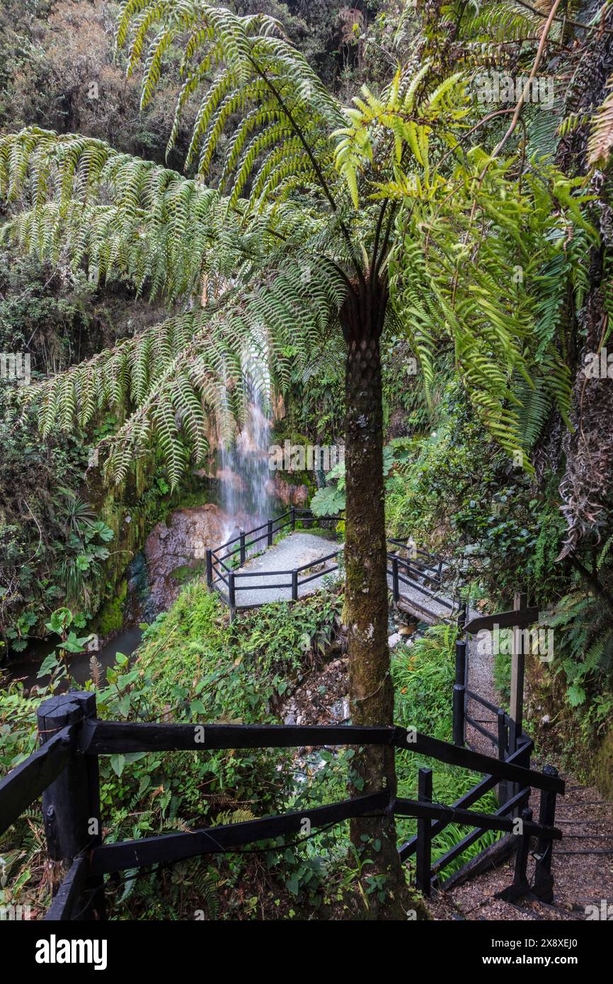 Termales del ruiz resort hi-res stock photography and images - Alamy