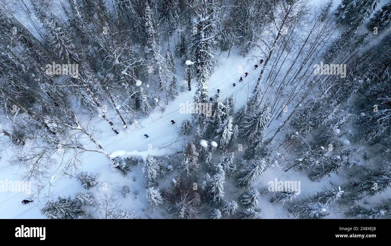 Push in shot snowy trees hi-res stock photography and images - Alamy