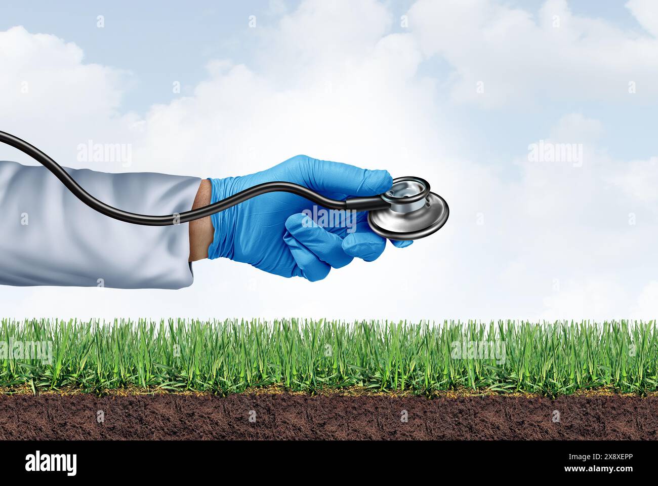Healthy lawn care as landscaper doctor with a stethoscope in a yard ...