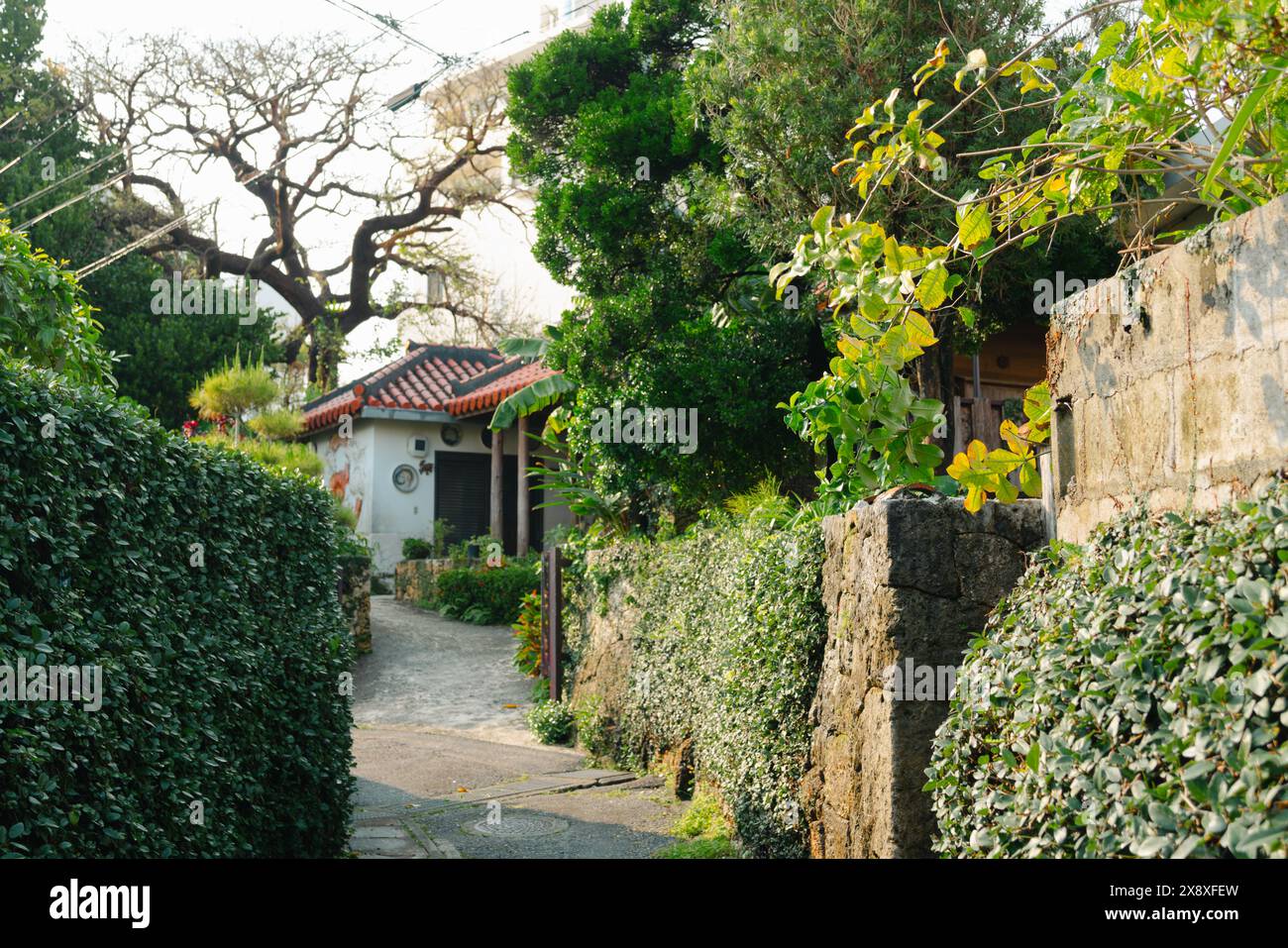 Tsuboya pottery street hi-res stock photography and images - Alamy