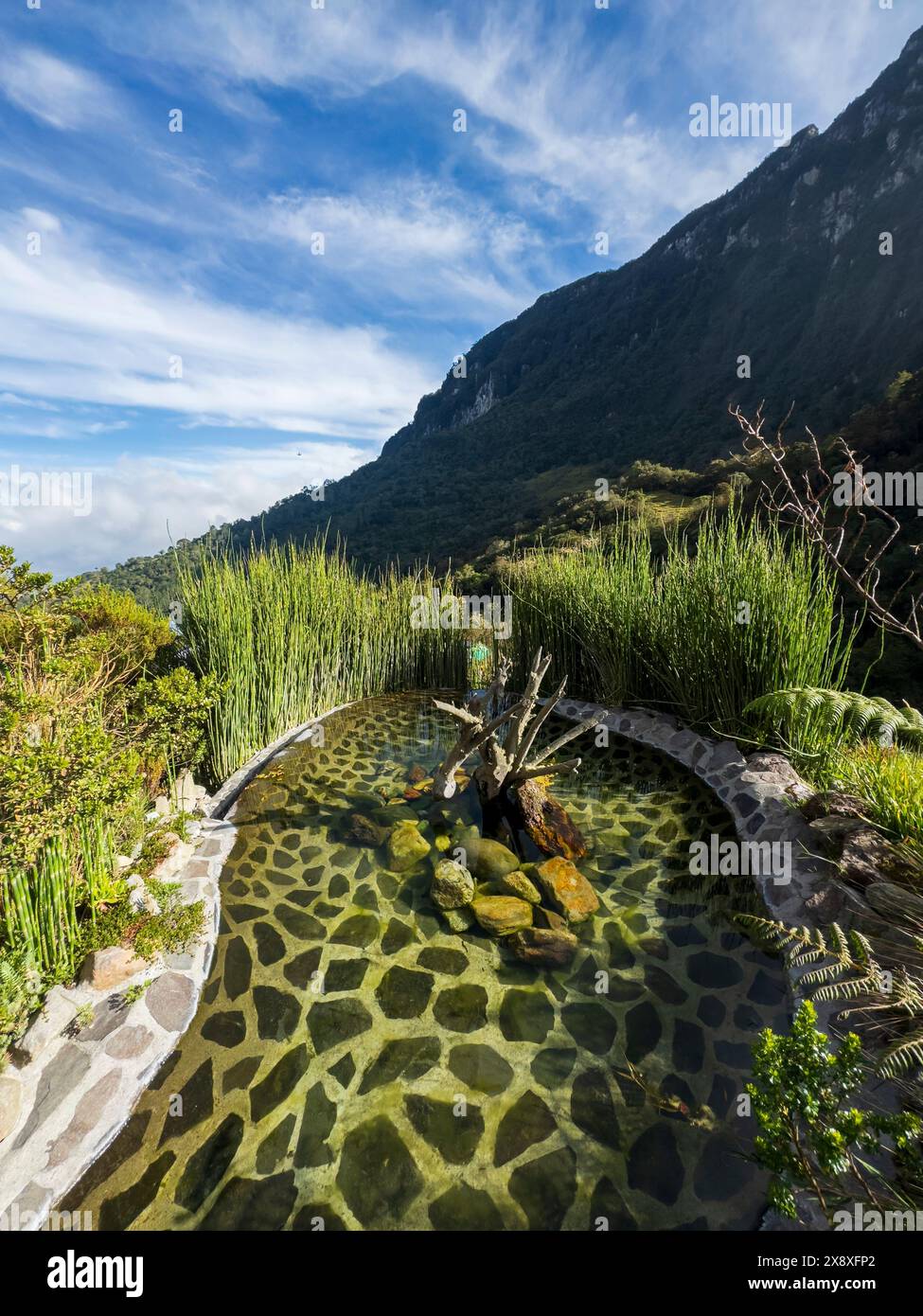 Termales del ruiz resort hi-res stock photography and images - Alamy