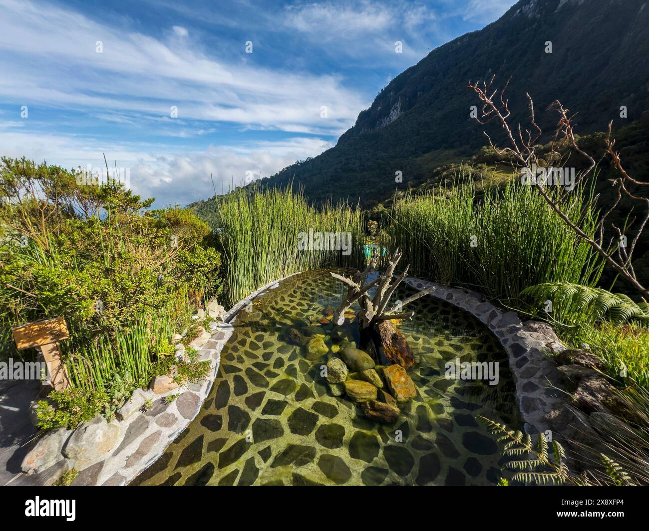 A pond at the Termales Del Ruiz Hotel located at 10,500 feet in the ...