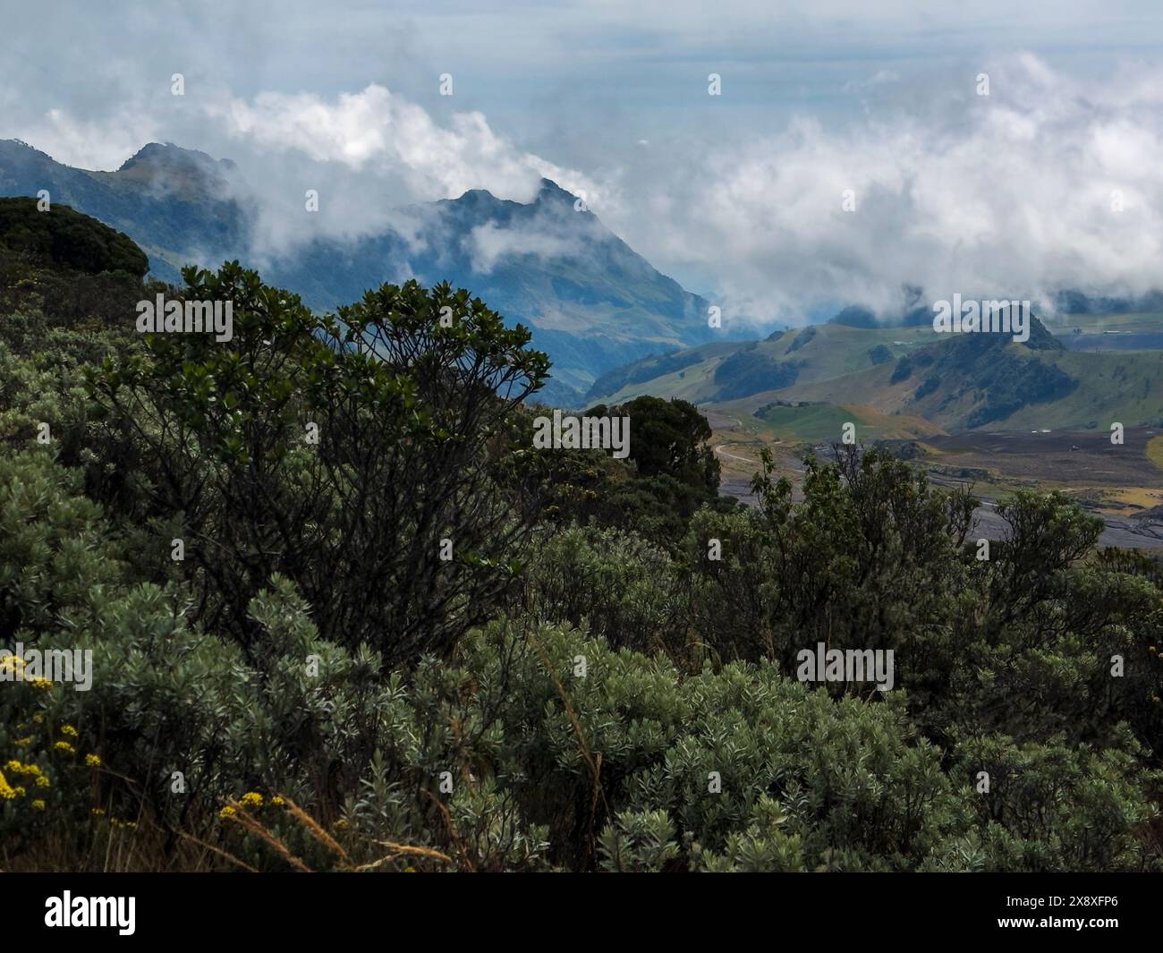 Colombia; South America; Latin America; Termales del Ruiz; Andes; Andes ...