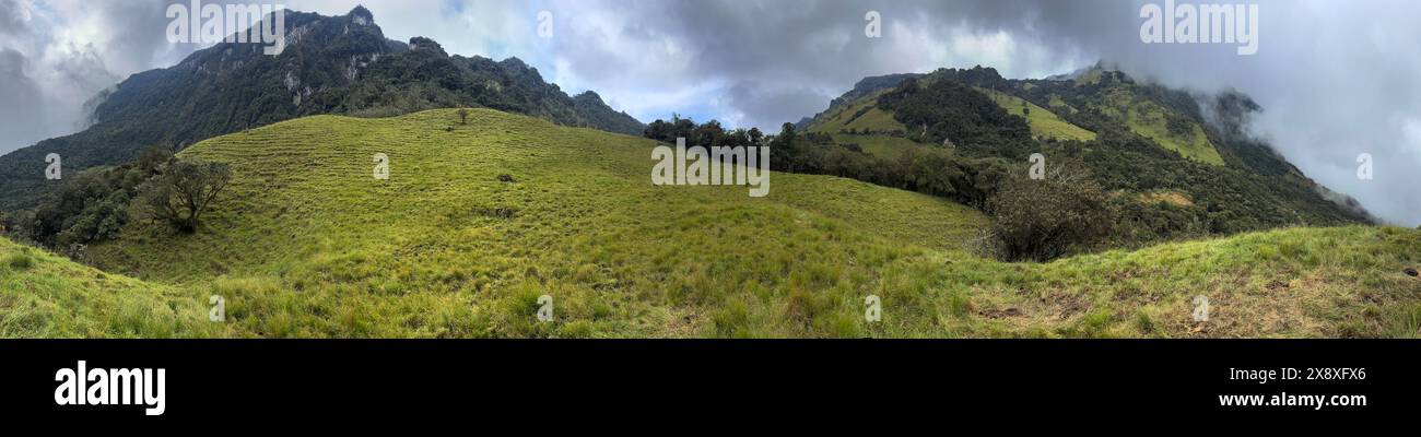 Green cow pastures and forest grow at 10,500 feet in the Colombian ...