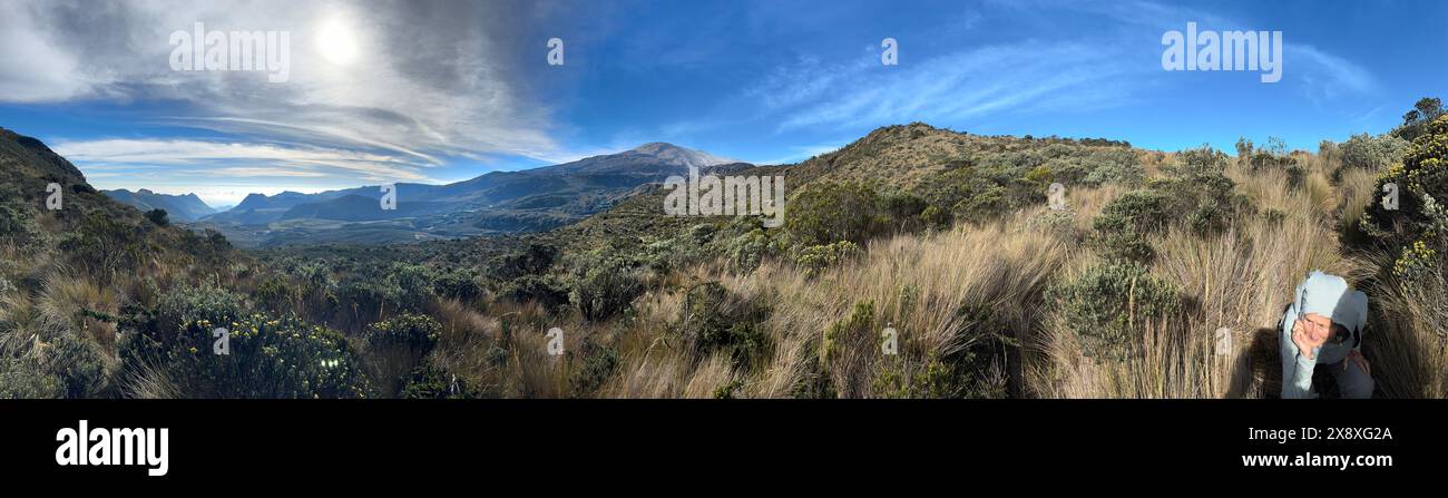 Plants grow in the unique ecosystem known in the high altitude Paramo ...