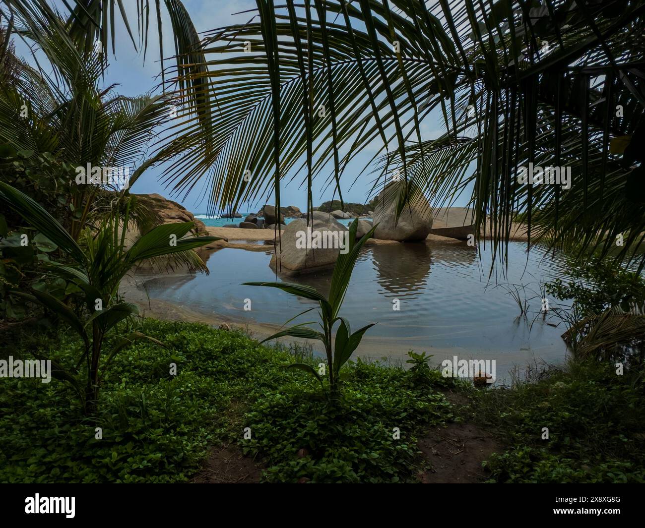 A saltwater lagoon at Tyrona National Park or Parque Nacional Natural ...