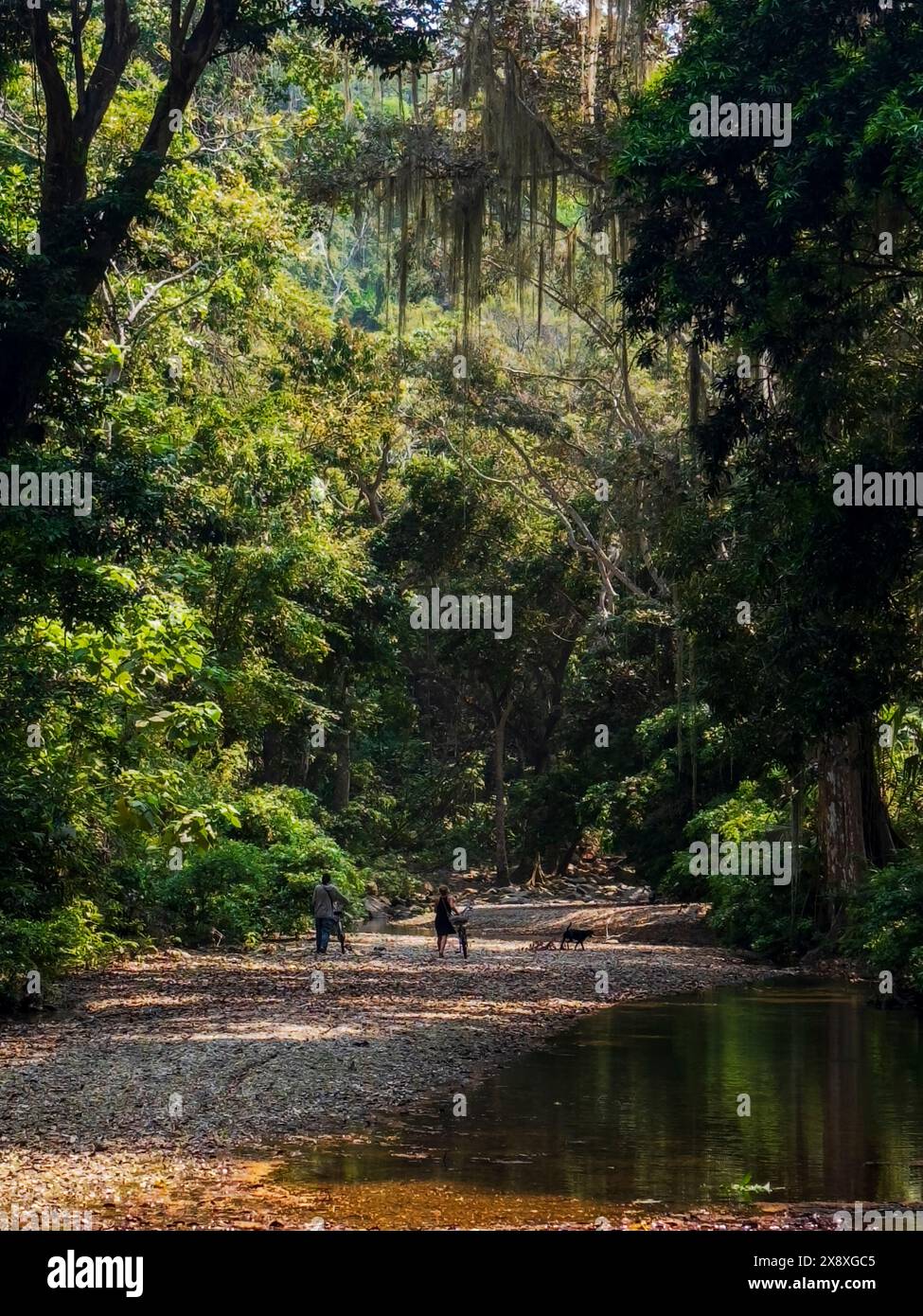 The hike to Quebrada Valencia waterfall east of Santa Marta goes ...