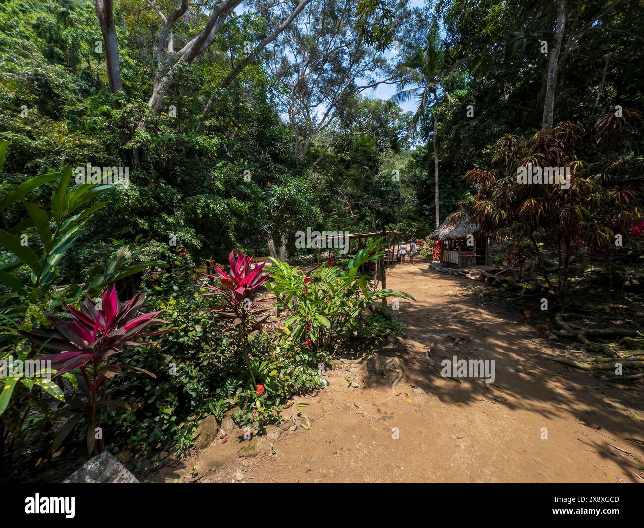 Train to the Quebrada Valencia waterfall east of Santa Marta goes ...