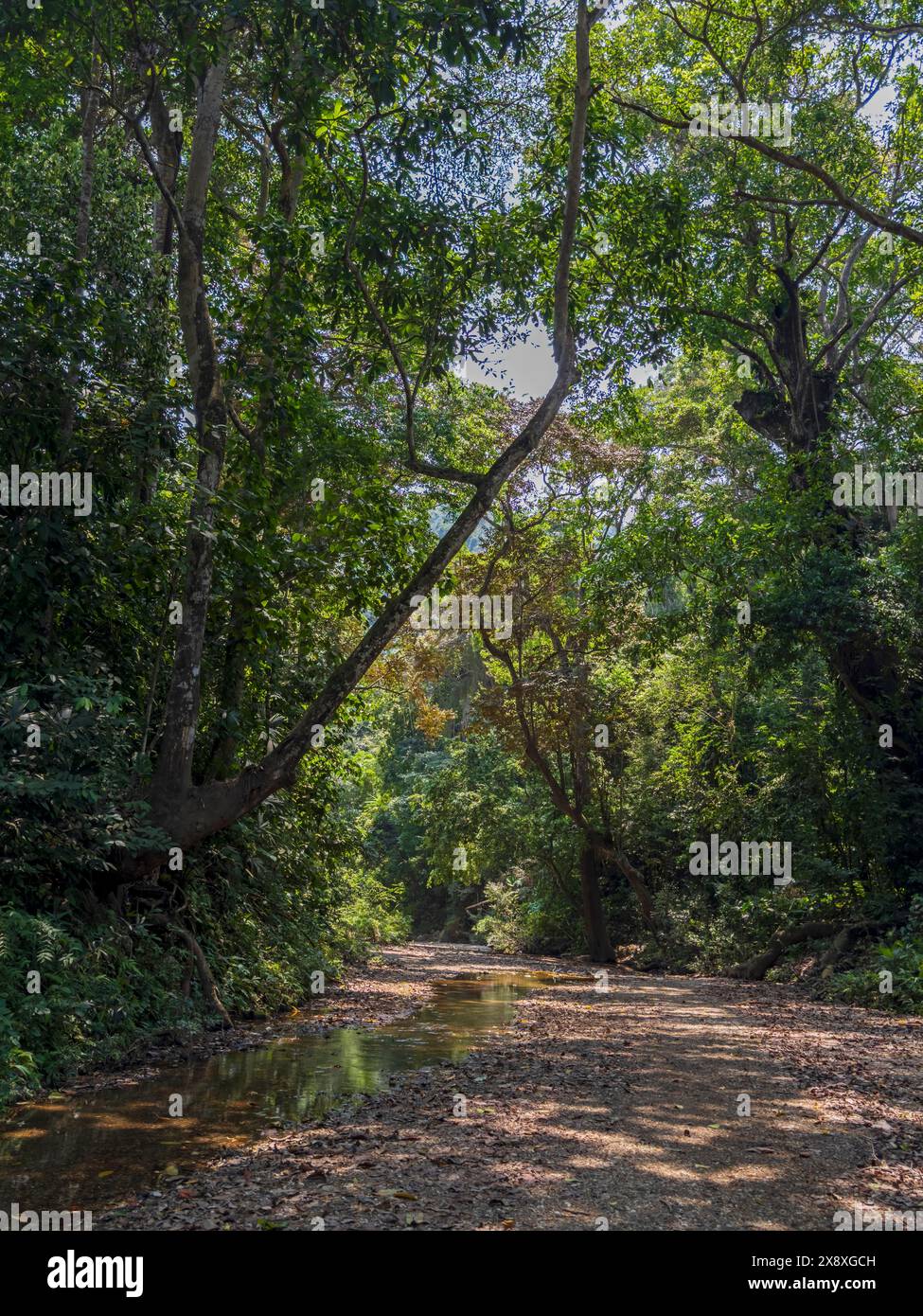 The hike to Quebrada Valencia waterfall east of Santa Marta goes ...