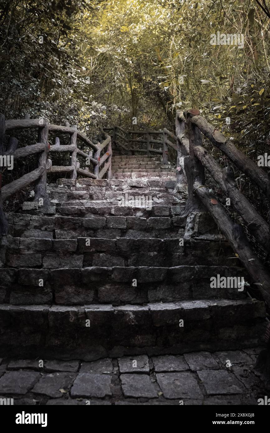 The climbing stone steps up the mountain with trees along the way ...