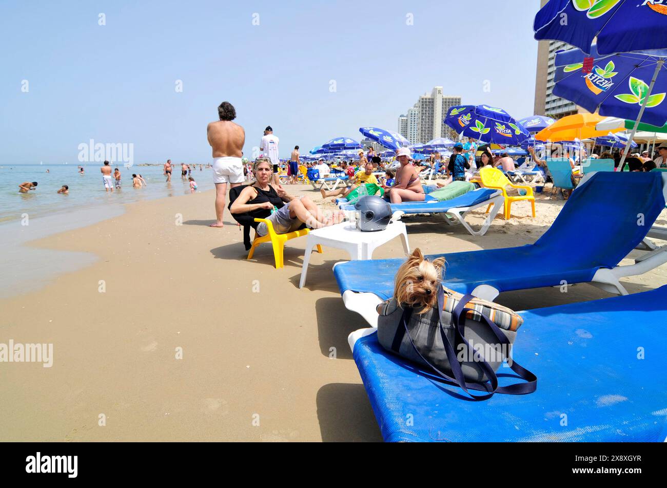 The vibrant beaches in Tel-Aviv, Israel Stock Photo - Alamy