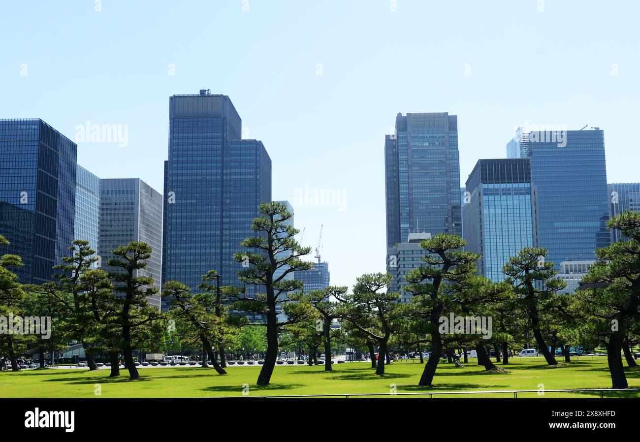 The Kokyo Gaien National Garden by the Imperial Palace with the modern ...