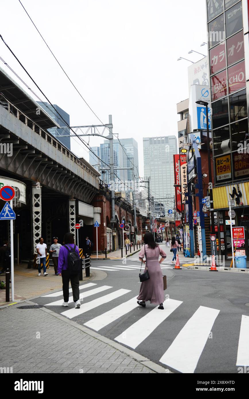 A JR train on the elevated tracks above the Kanda station in Tokyo ...