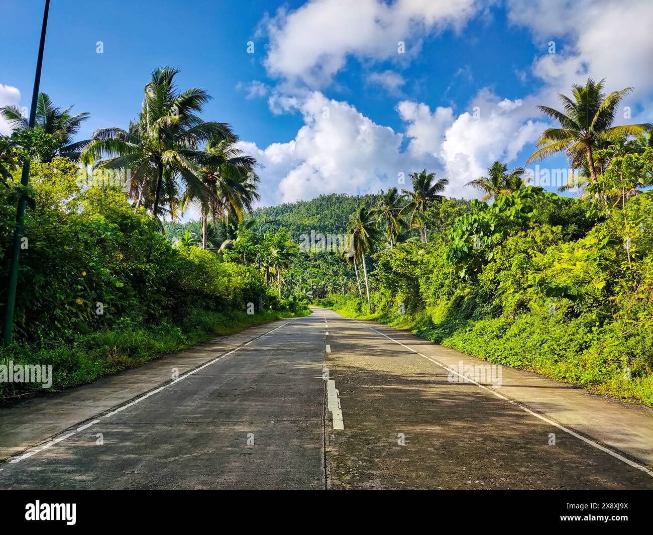 Empty two-lane provincial road in Siargao, Surigao del Norte ...