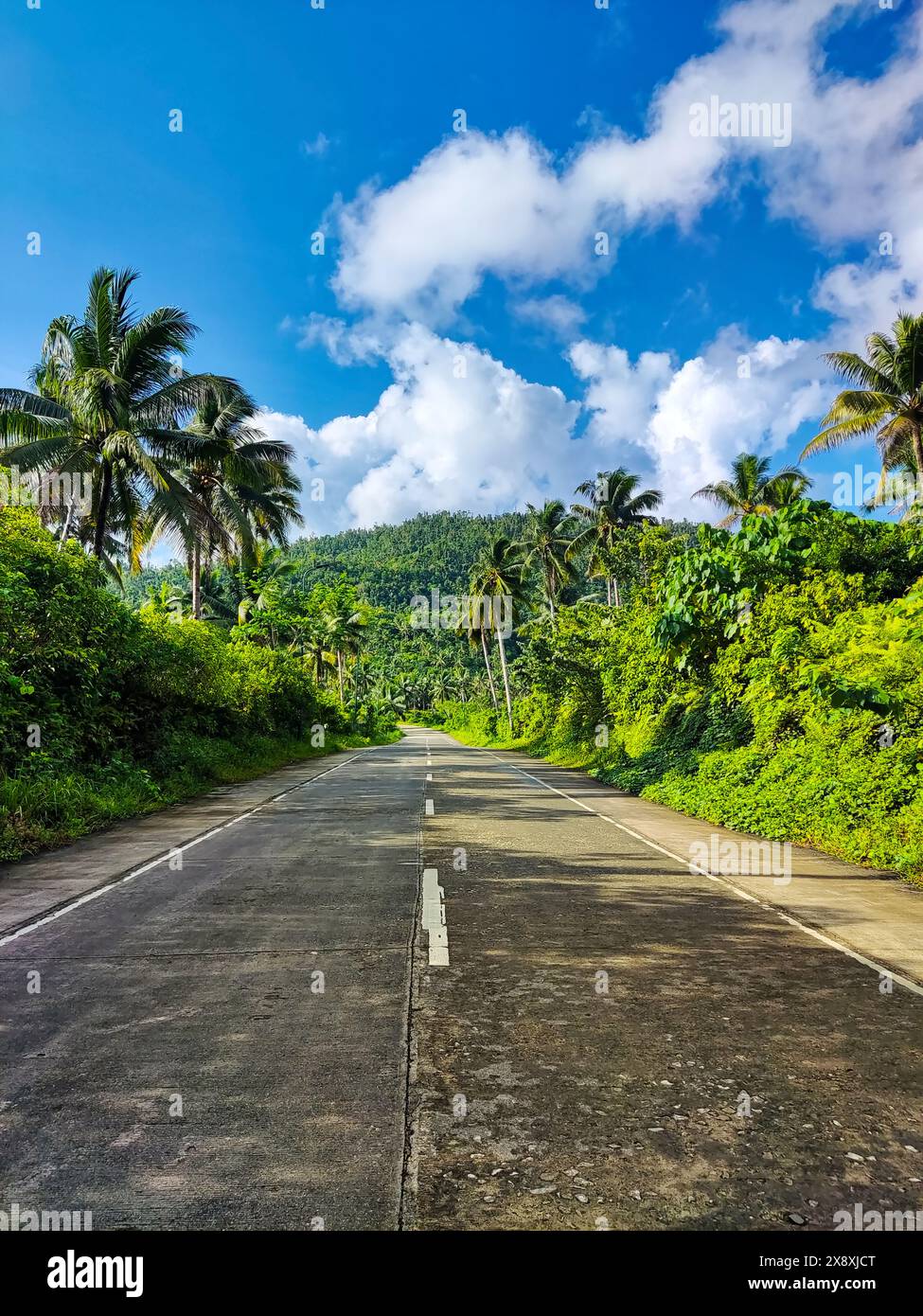 Empty two-lane provincial road in Siargao, Surigao del Norte ...