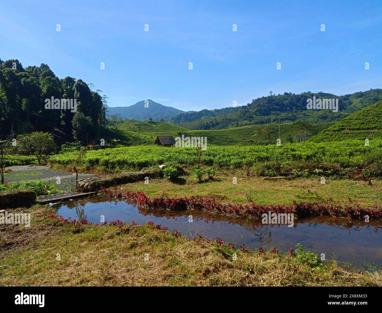 Mountains, rivers and blue skies in rural West Java, Indonesia Stock ...