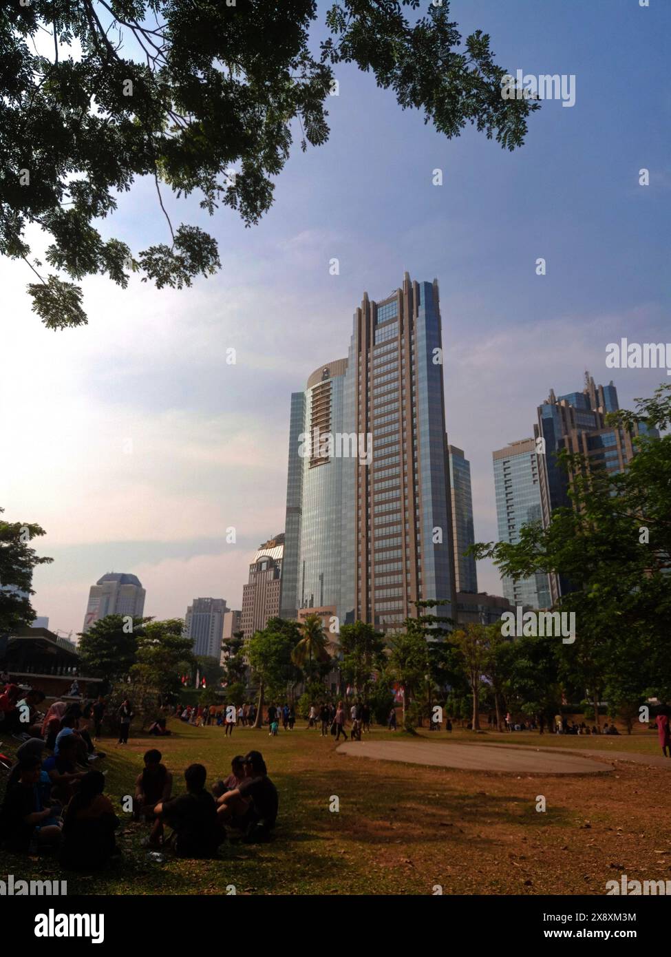 a skyscraper in the business centre seen from a city forest park Stock ...