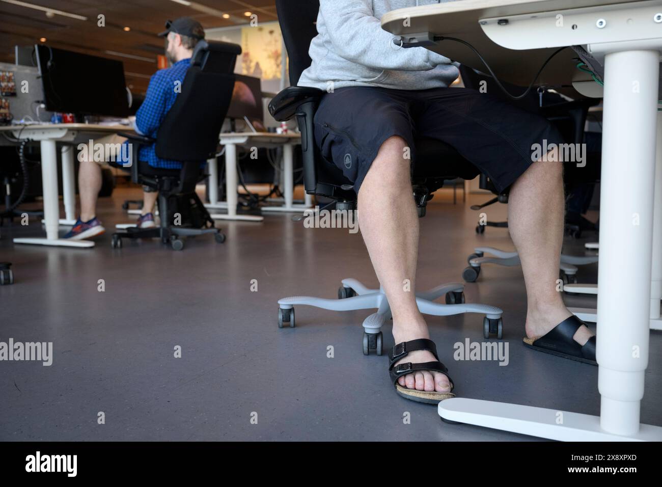 A man, two men, wearing shorts at the the office / in the work place ...