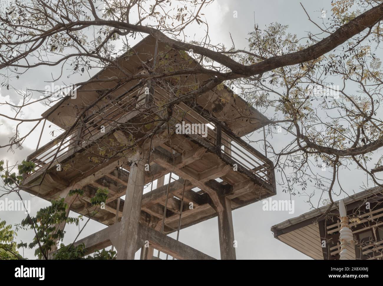 Bottom up view of Branches of tree in front of Old water tower made of ...