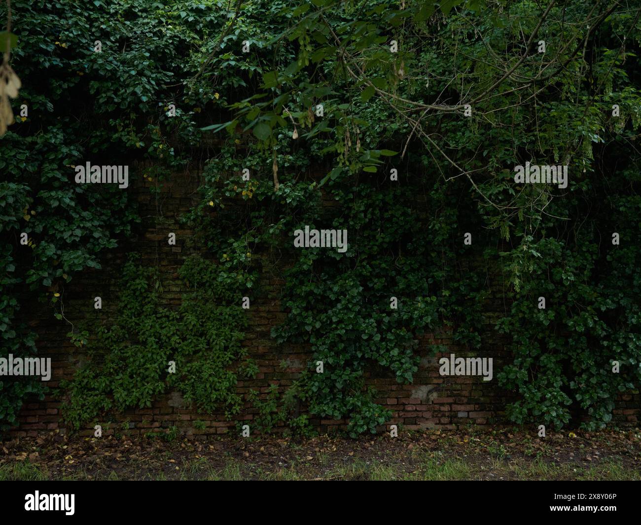 Rustic brick wall partially hidden hi-res stock photography and images ...