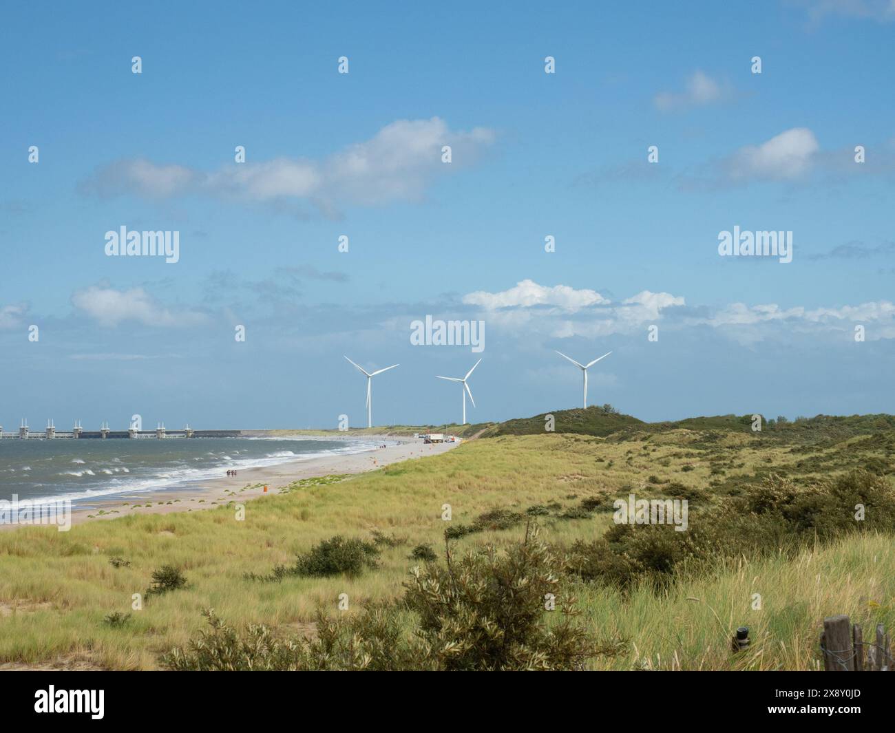 Zeeland, Netherlands - August 2nd 2023: Beautiful beach with sand dunes ...