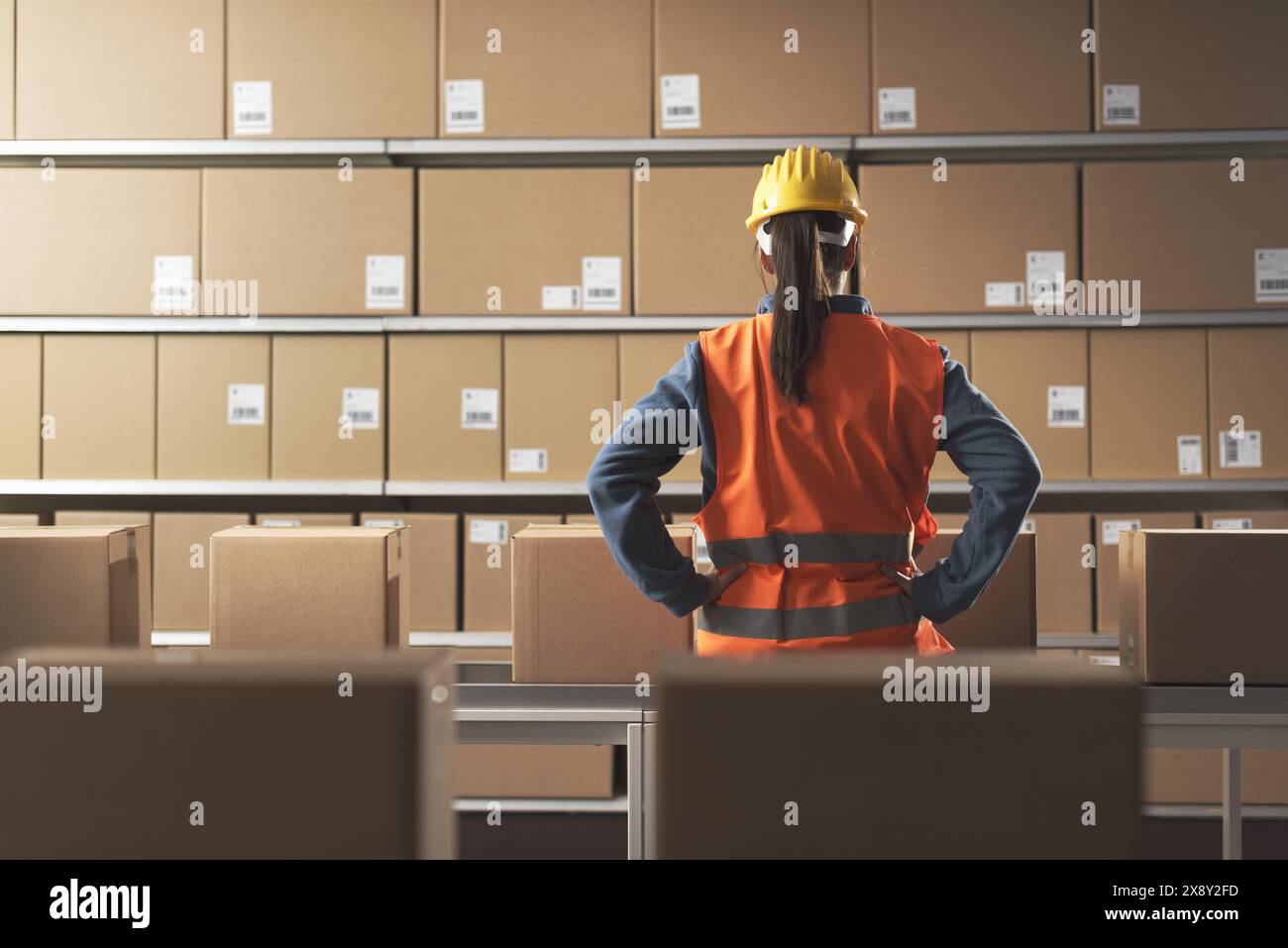 Employee checking packages in the conveyor belt at the warehouse, back ...