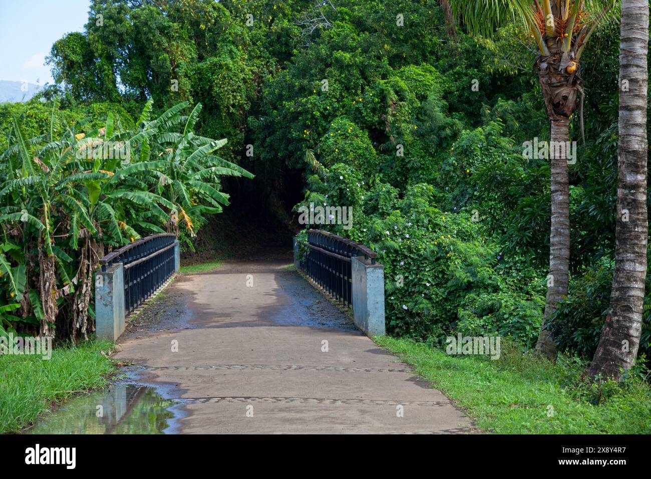 Small bridge on the Sentier Littoral Nord (a footpath alongside the ...