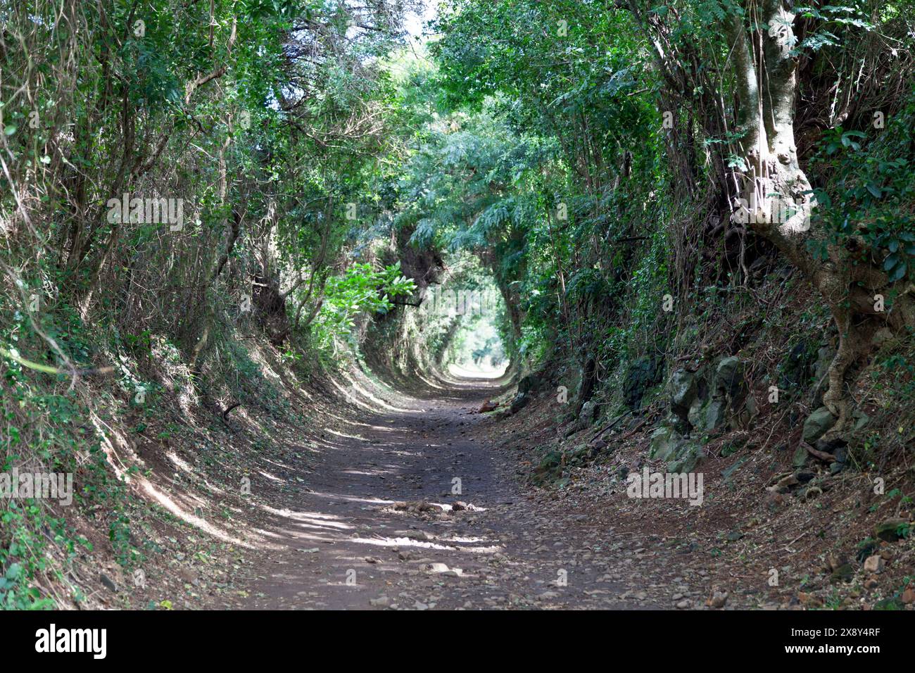 Sentier Littoral Nord (a footpath alongside the coastline) on the ...