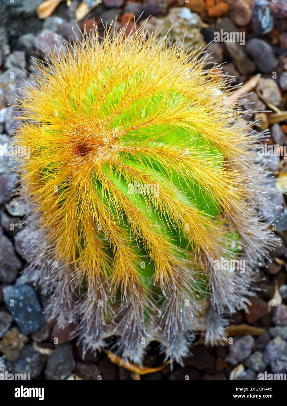 Sicilia f hi-res stock photography and images - Alamy