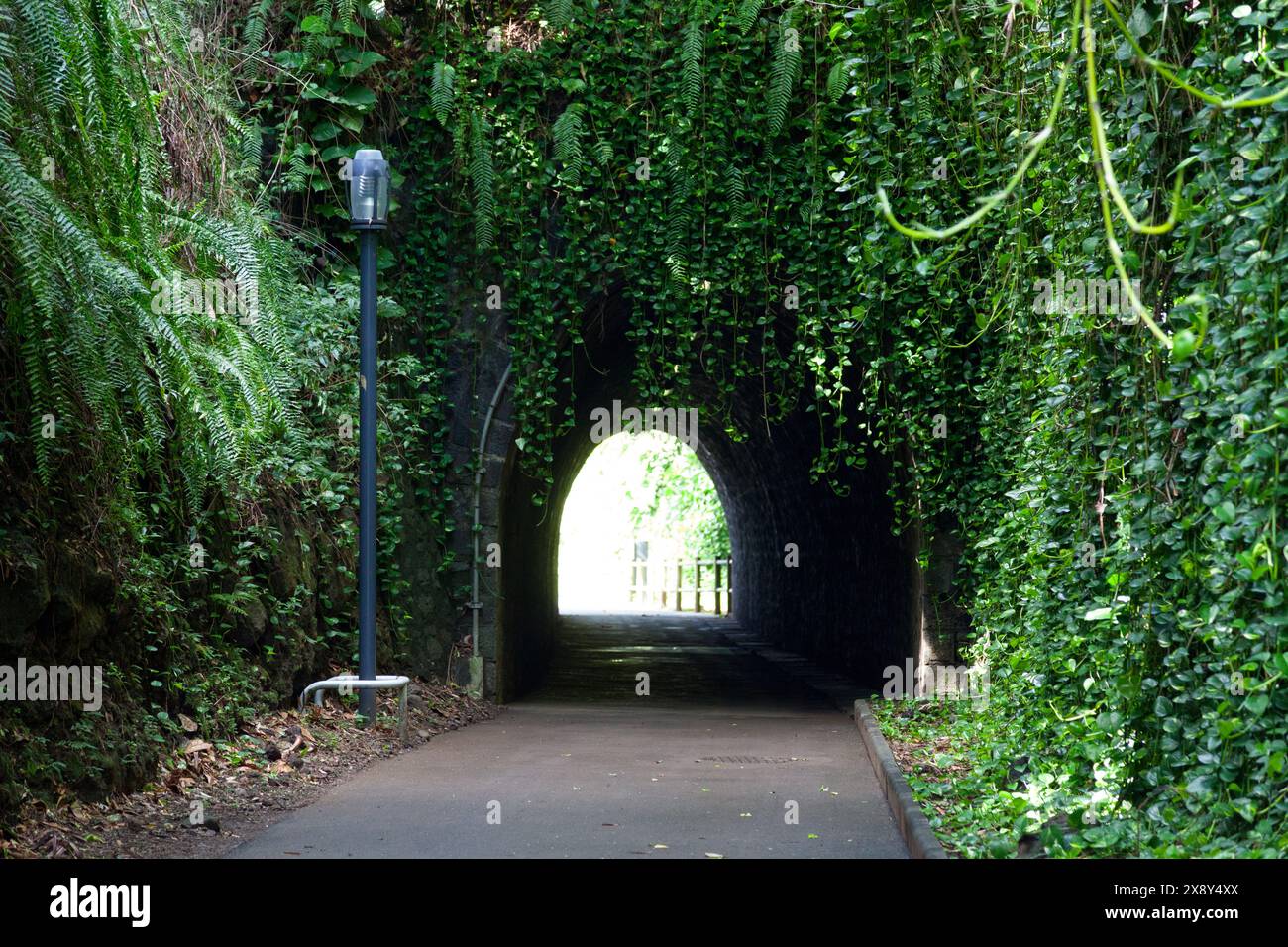 Former railway tunnel passing under the Sainte-Suzanne lighthouse now ...
