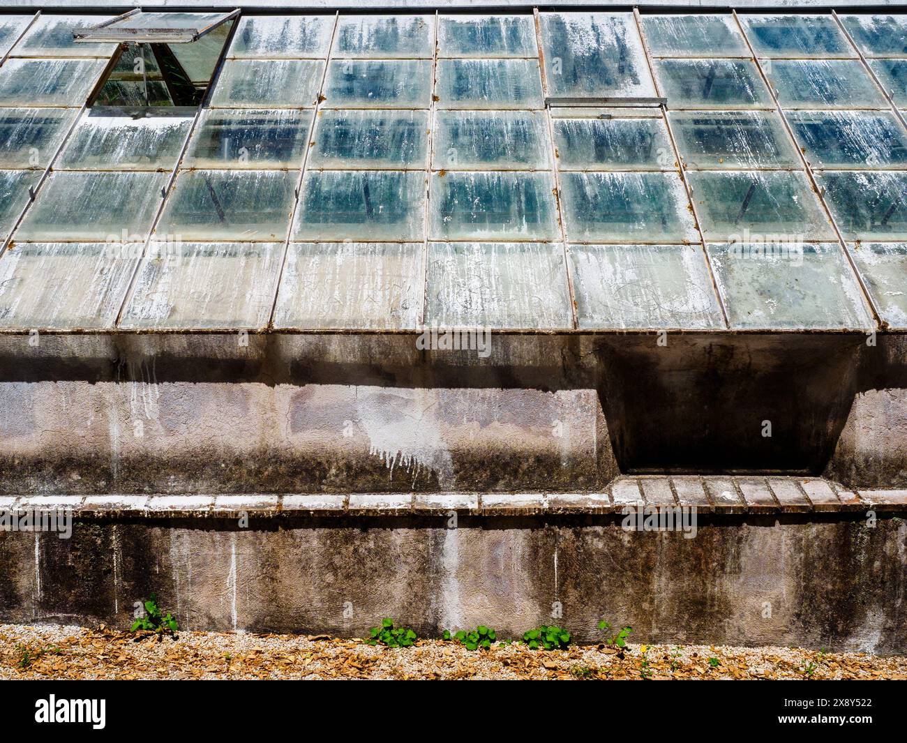 Greenhouse structure in the Botanical Garden of Rome, located on the ...