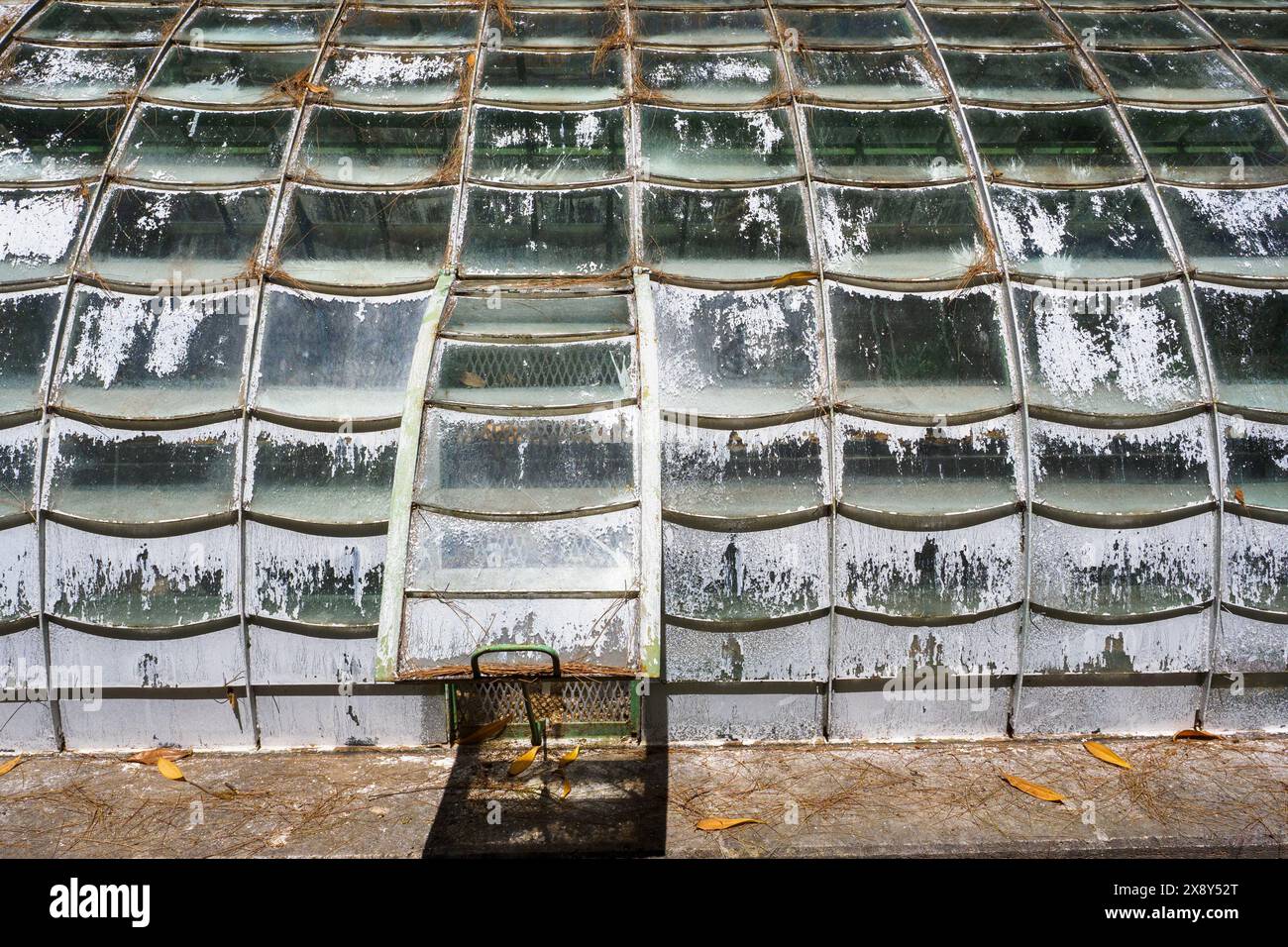 Greenhouse structure in the Botanical Garden of Rome, located on the ...
