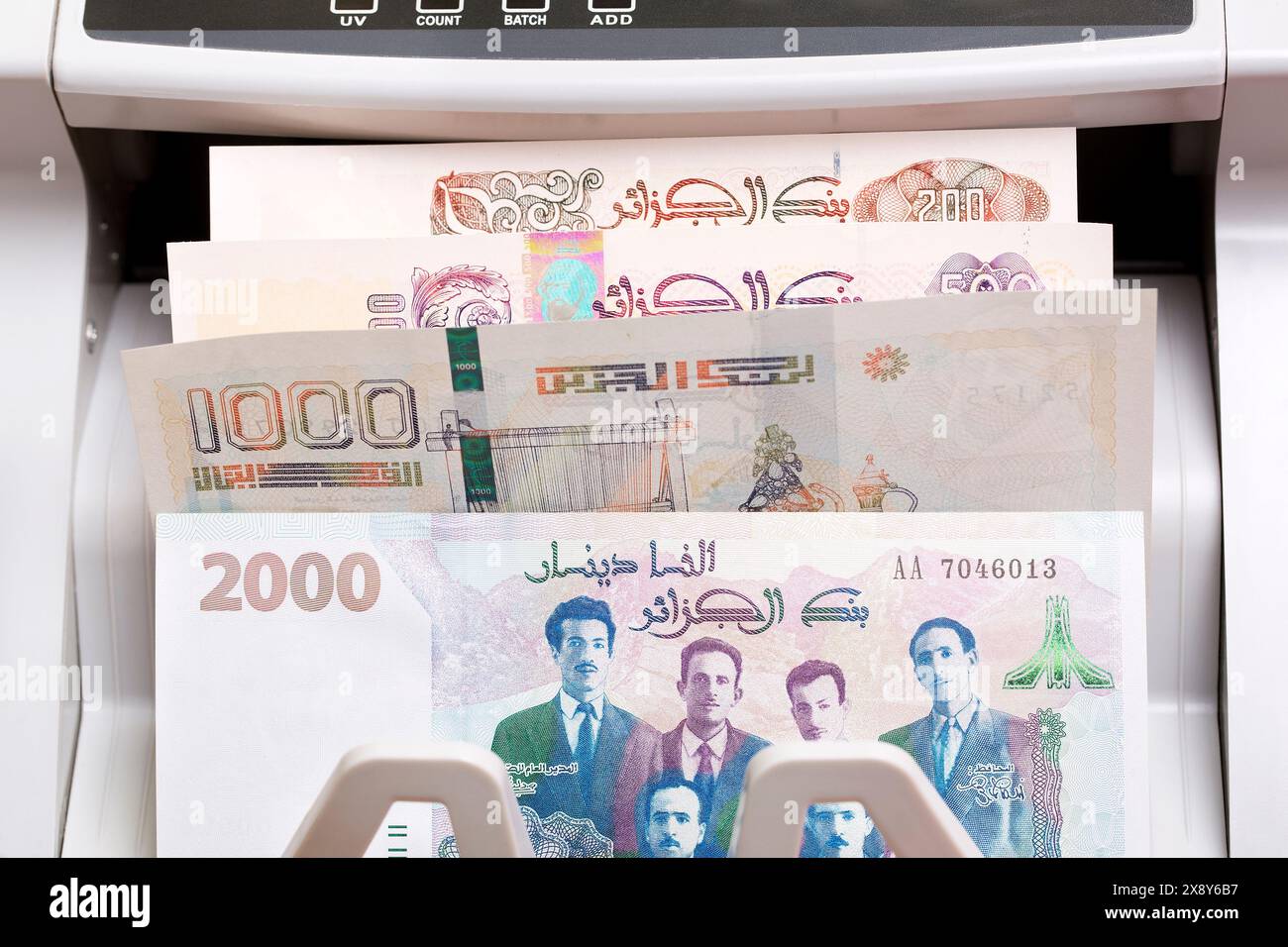 Algerian money - dinar in a counting machine Stock Photo - Alamy