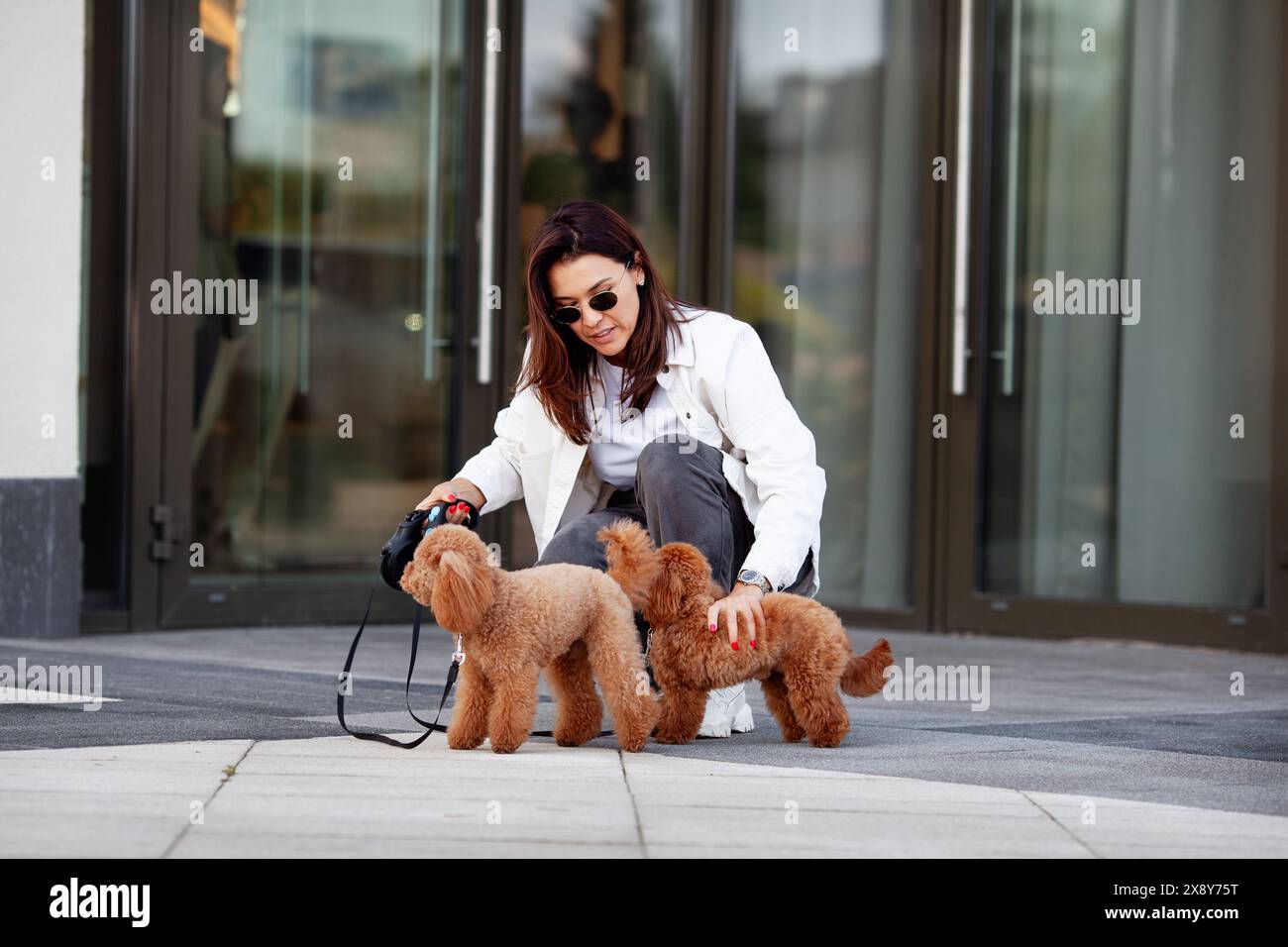 Woman struggles to control two small, energetic poodles on leashes ...