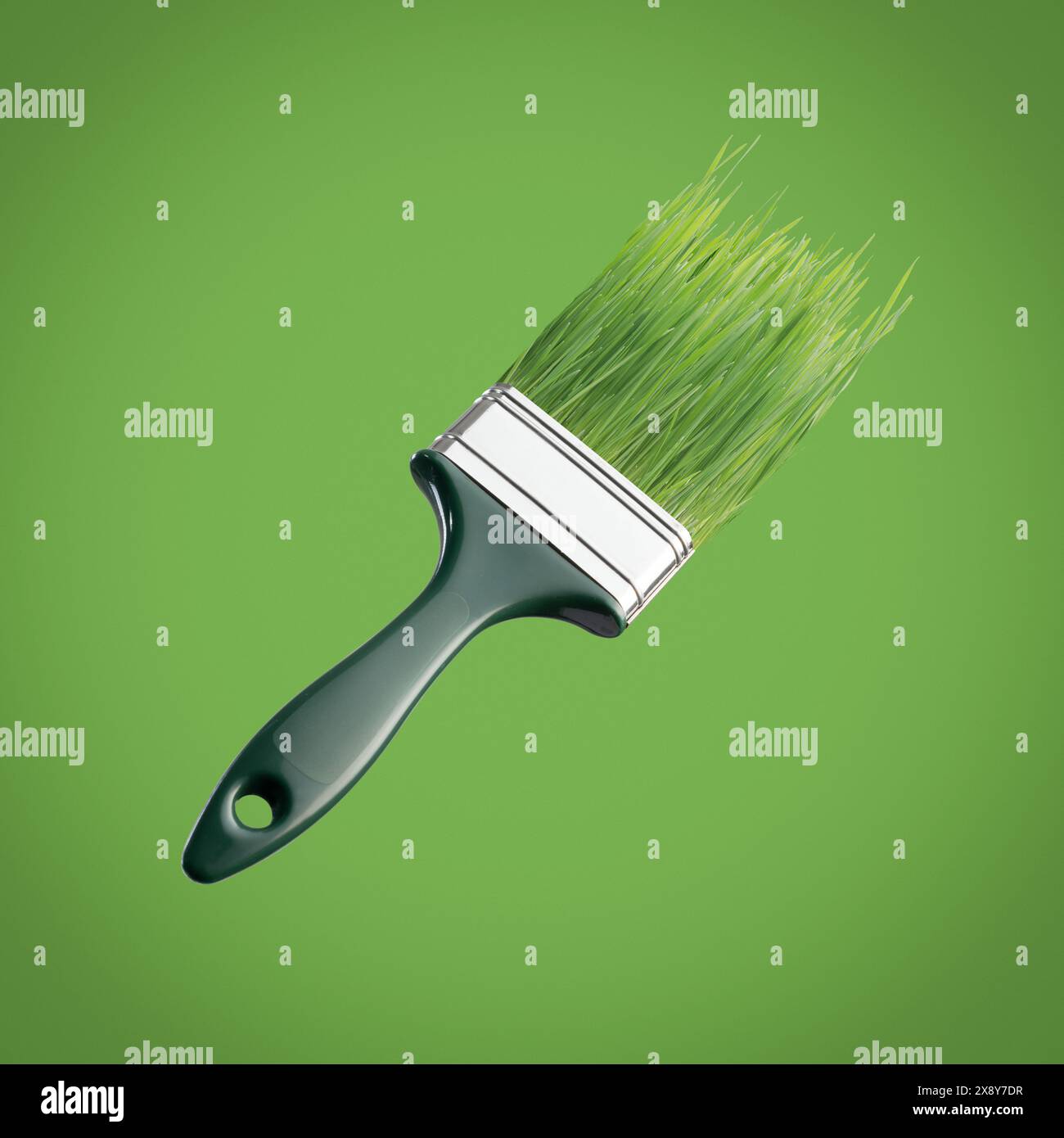 Eco-friendly paintbrush with bristles made of grass blades ...