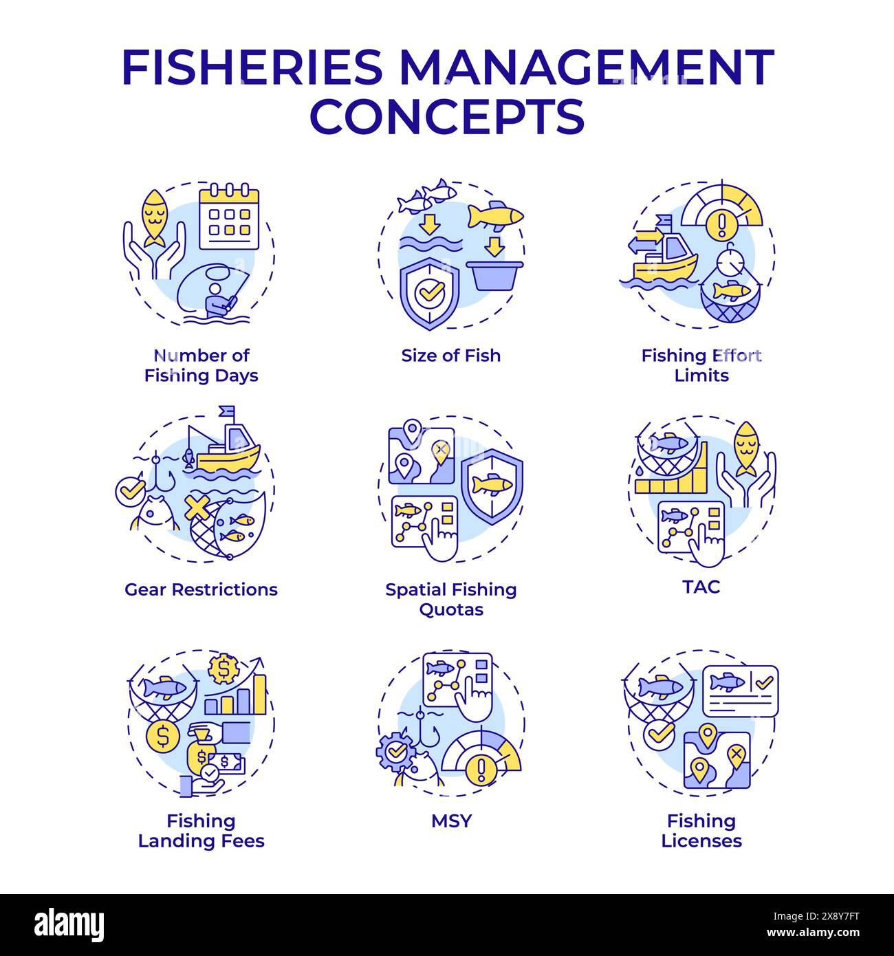 Fisheries management multi color concept icons Stock Vector Image & Art - Alamy