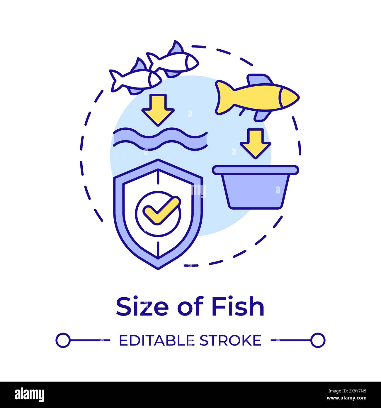Size of fish multi color concept icon Stock Vector Image & Art - Alamy