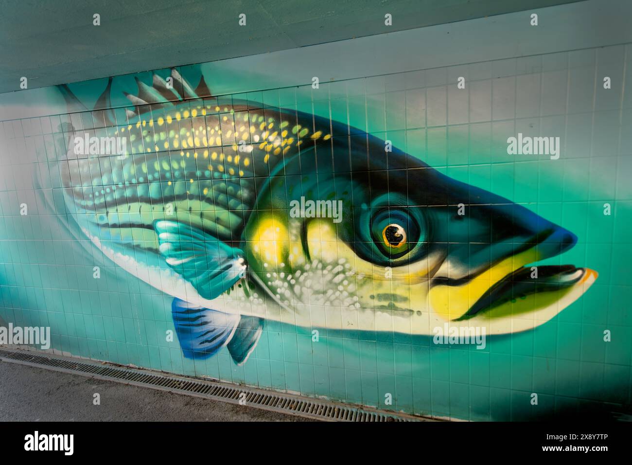 A mural of pike-like fish painted in the hibiscus walk subway Porthcawl ...