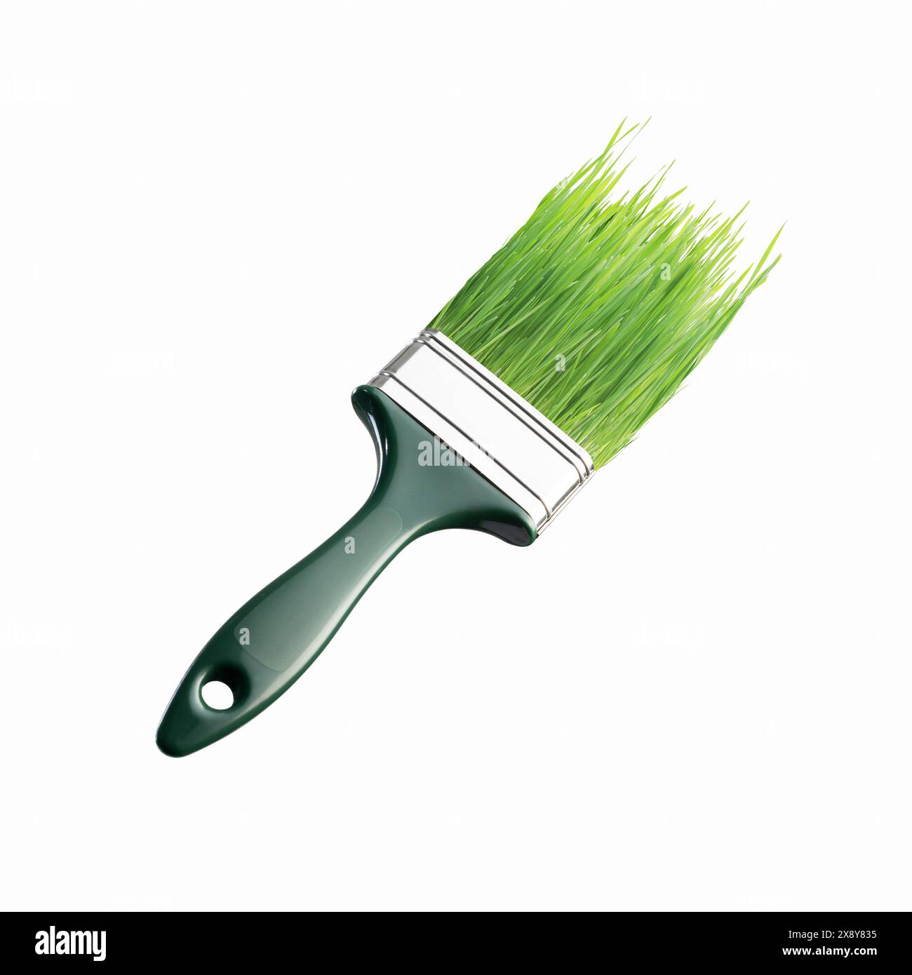 Eco-friendly paintbrush with bristles made of grass blades ...