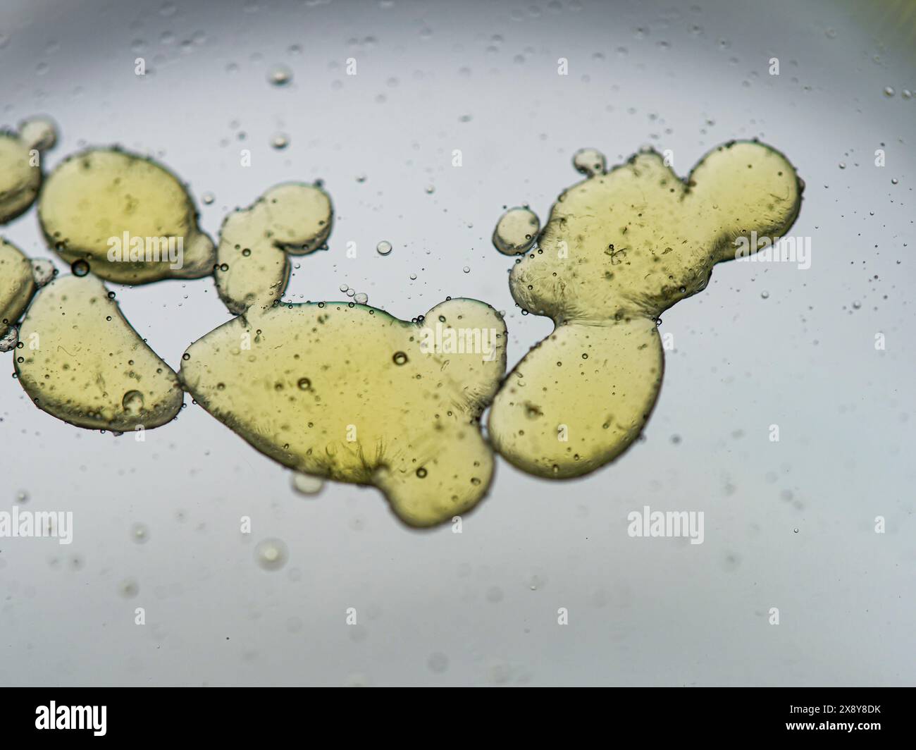 Mixture of water and oil, beautiful color abstract background. Abstract ...