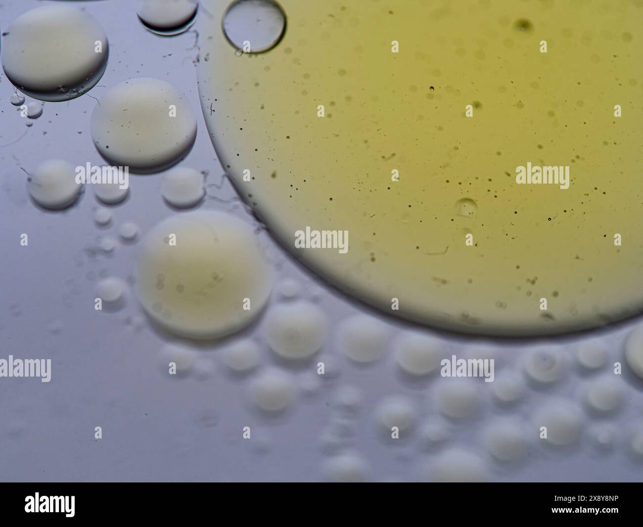 Mixture of water and oil, beautiful color abstract background. Abstract ...