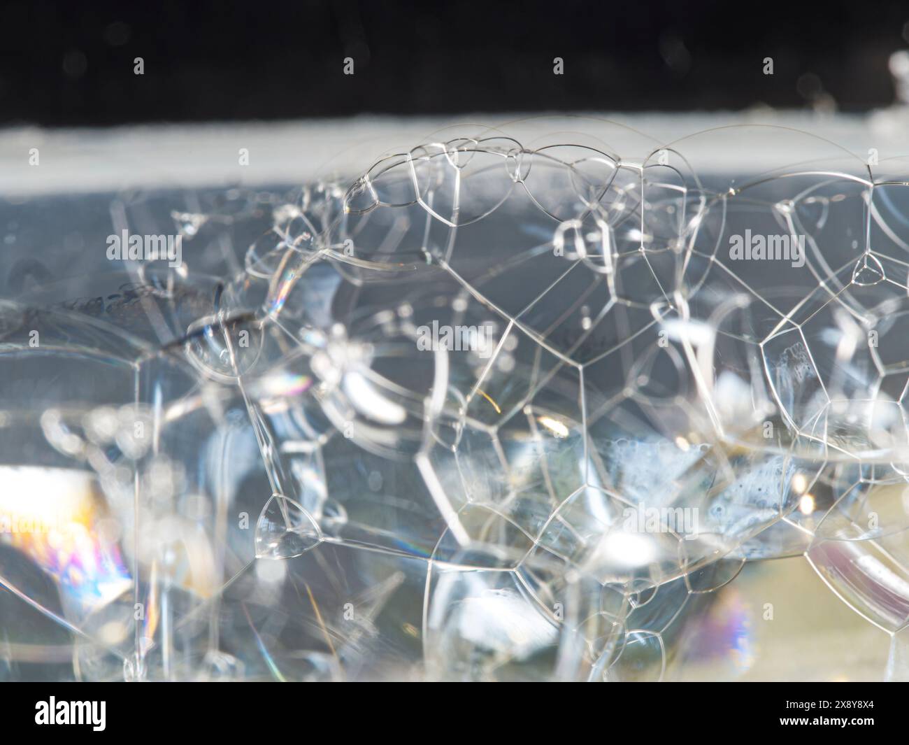 Abstract White Soap Foam Bubbles Texture Background Bubble Texture