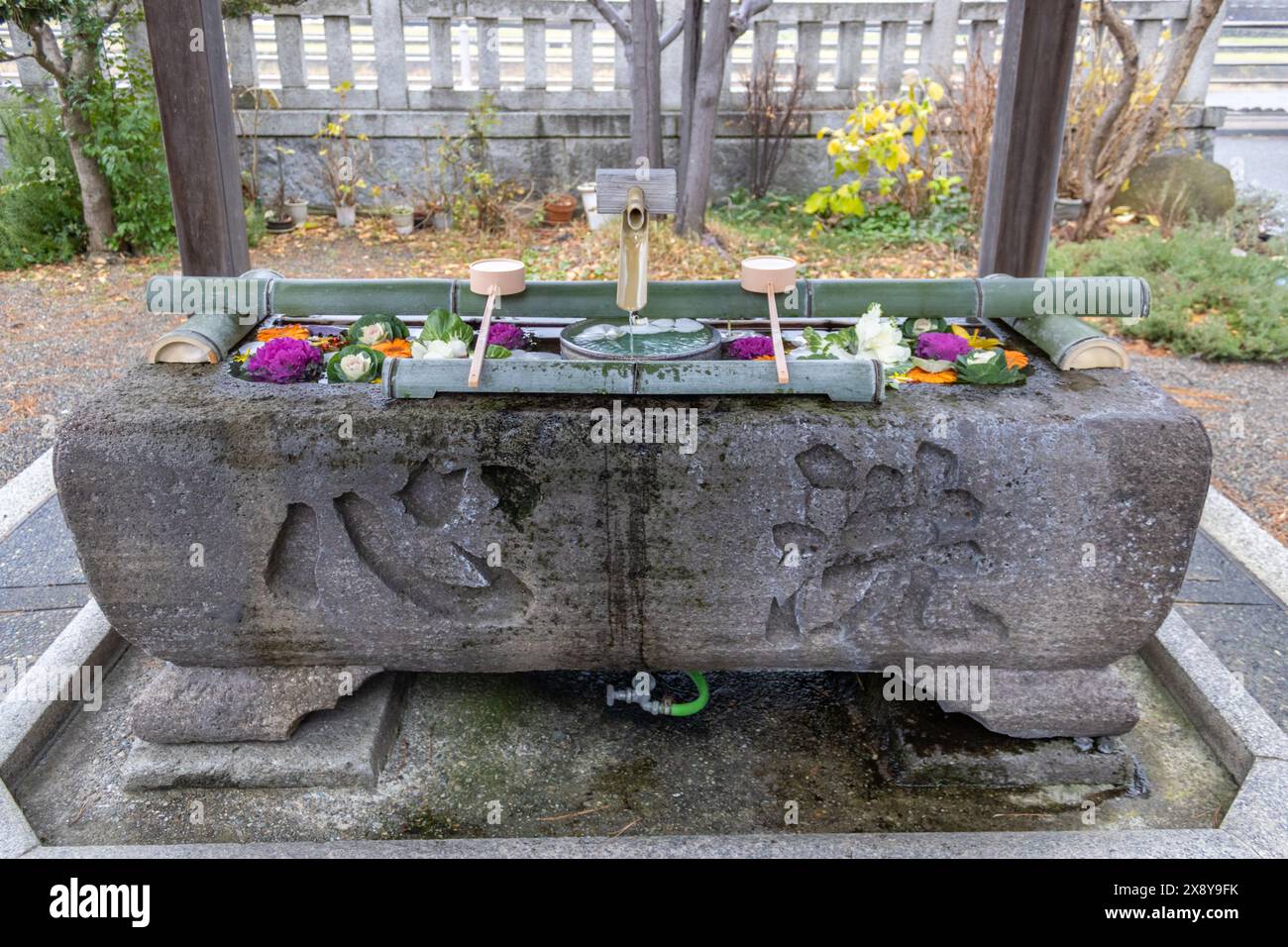 Hand-washing basin, chouzubachi in Japanese, with flowers and petals ...