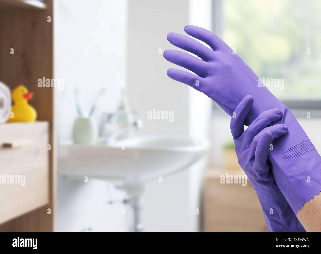 Female hands cleaning objects in hi-res stock photography and images ...