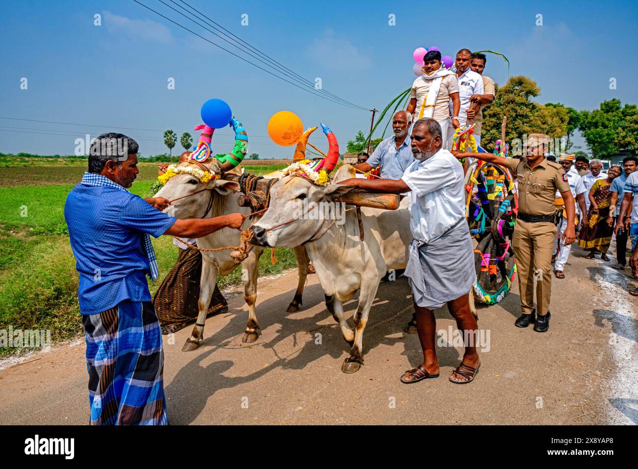 India, Tamil Nadu, Pongal Festival in a village near Madurai Stock ...