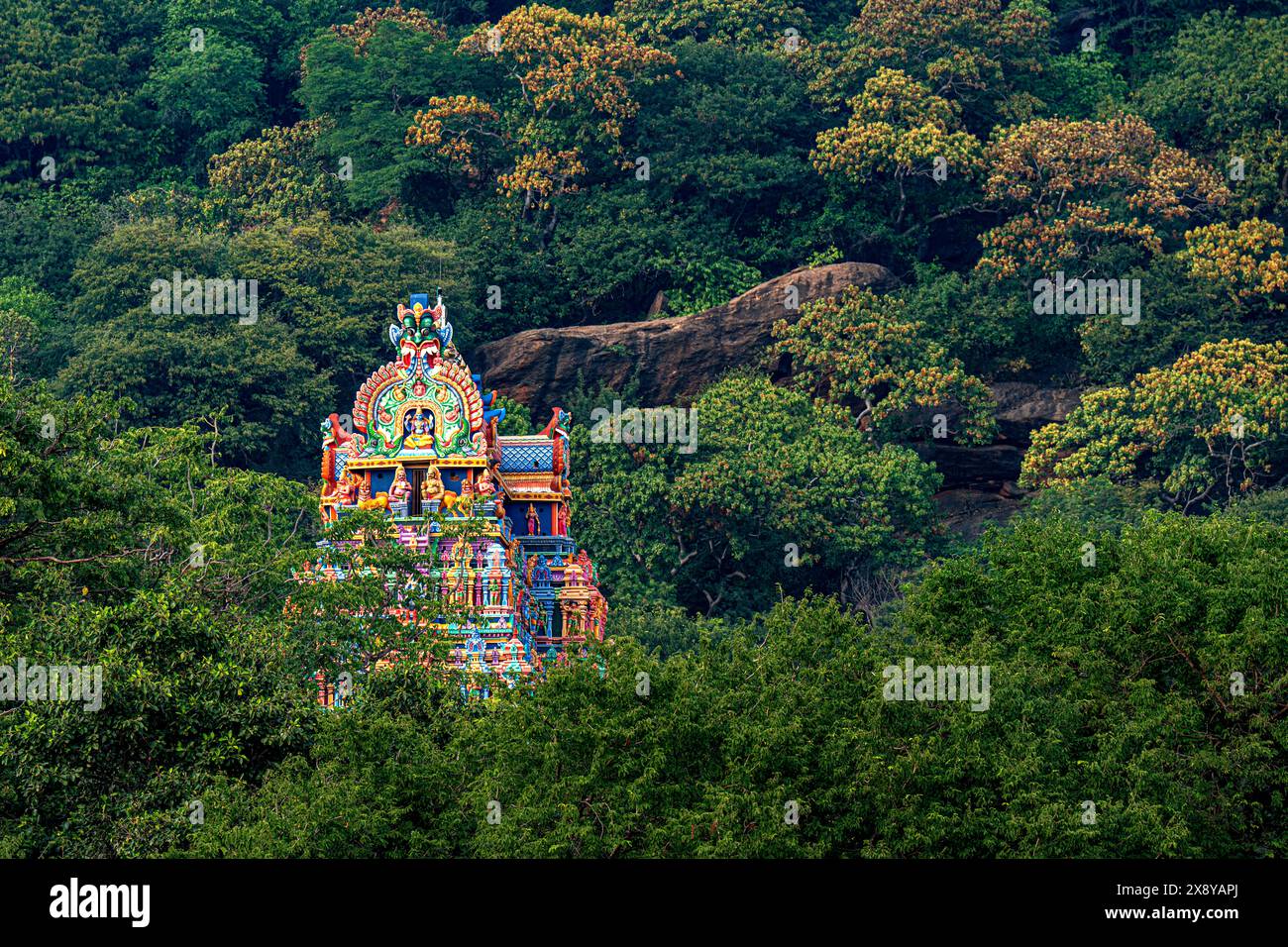 Madurai alagar hi-res stock photography and images - Alamy