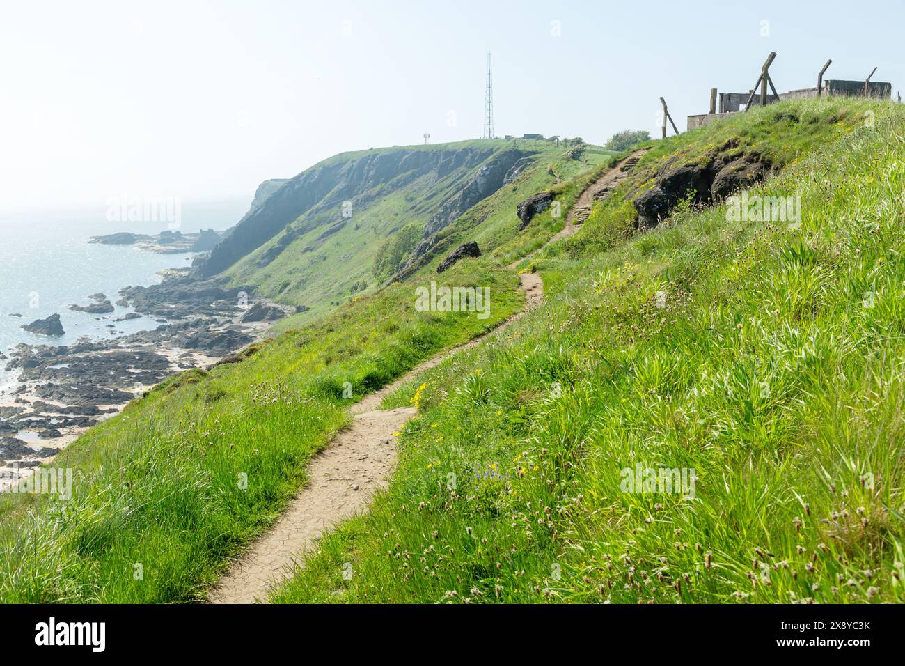 East neuk coastal cliffs hi-res stock photography and images - Alamy