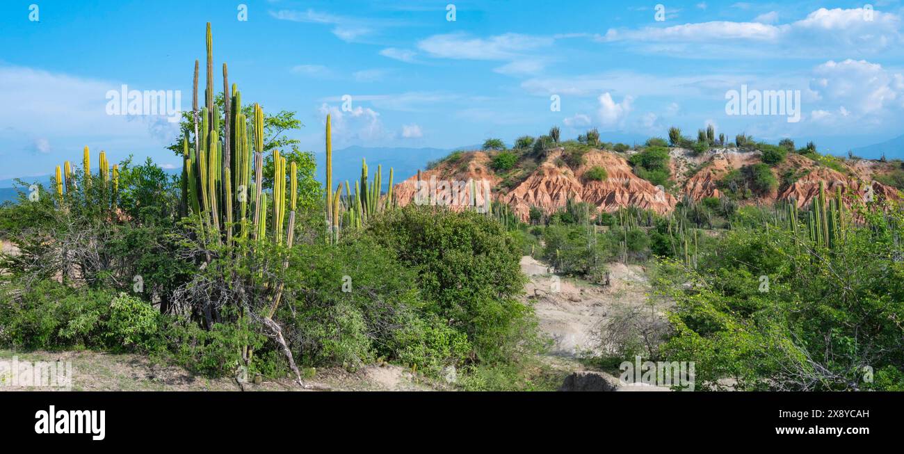 Colombia, Huila district, Neiva, Tatacoa desert Stock Photo - Alamy
