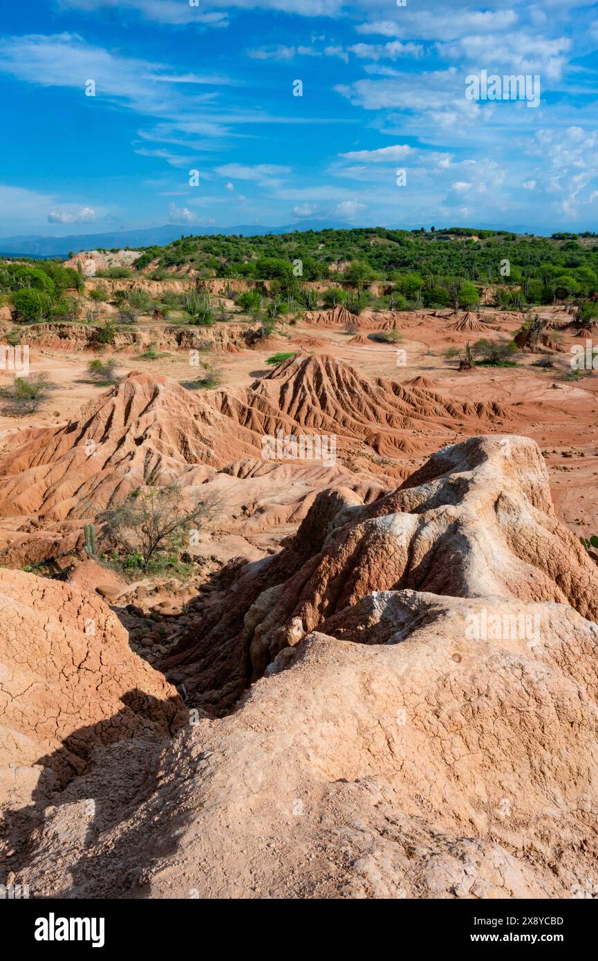 Colombia, Huila district, Neiva, Tatacoa desert Stock Photo - Alamy